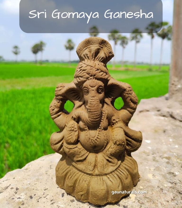 Gomaya Ganesha – GauNaturals